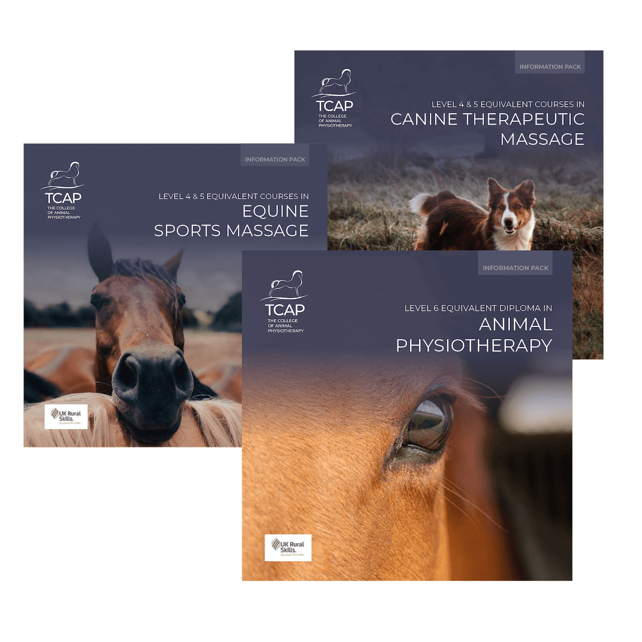 Home | The College of Animal Physiotherapy (TCAP)