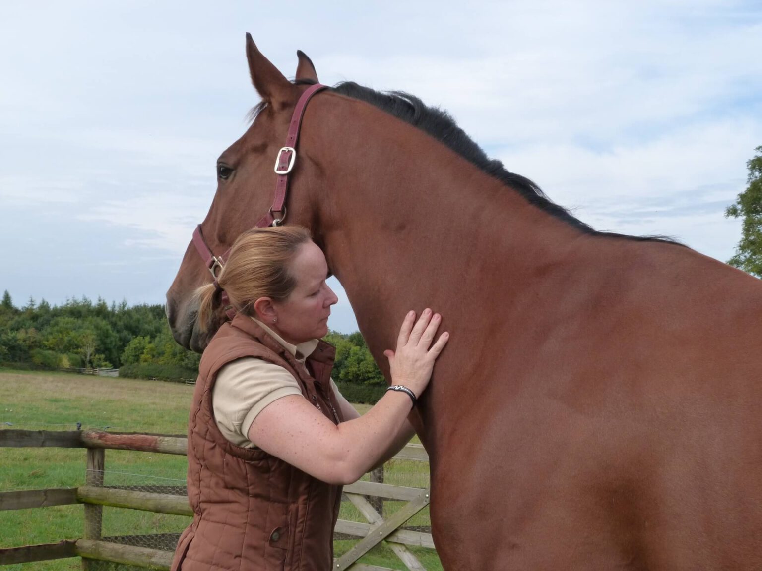 Home | The College of Animal Physiotherapy (TCAP)