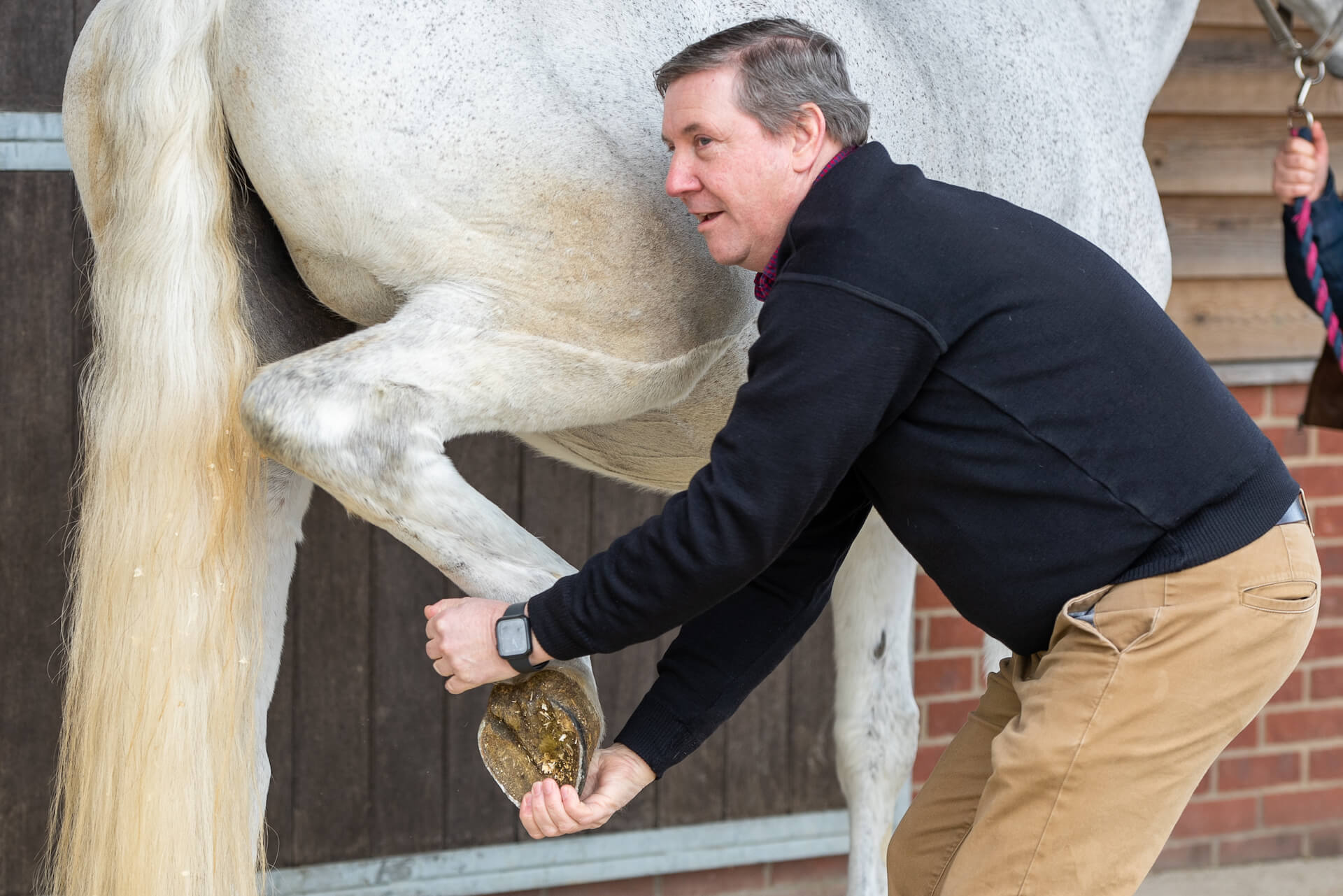 Life as an animal physiotherapist | The College of Animal Physiotherapy