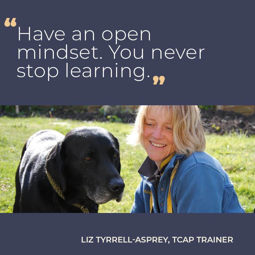 About Us | The College of Animal Physiotherapy