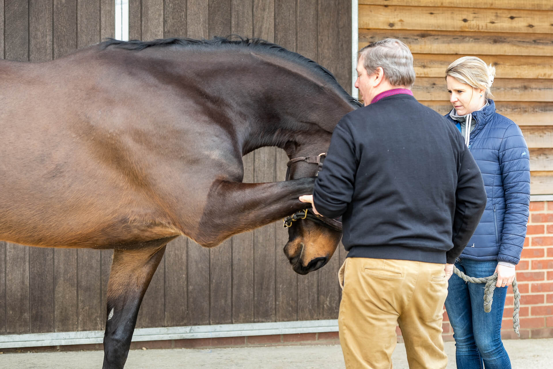 Home | The College of Animal Physiotherapy (TCAP)