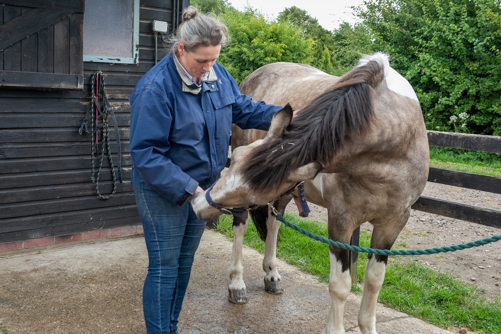International Students The College Of Animal Physiotherapy international-students-the-college-of-animal-physiotherapy