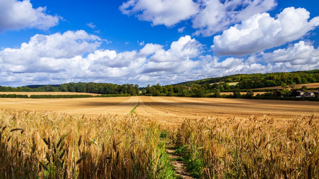 Visit TCAP HQ | The College of Animal Physiotherapy